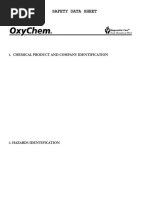 PDP Blank Template FINAL | PDF | Professional Development | Dentistry