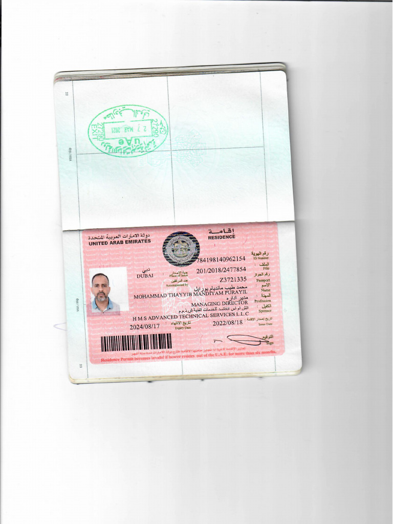 Thayyib - Visa | PDF