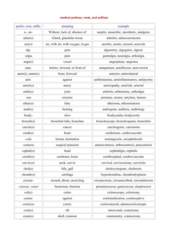 Prefix, Root, Suffix Meaning Example: Medical Prefixes, Roots, and ...