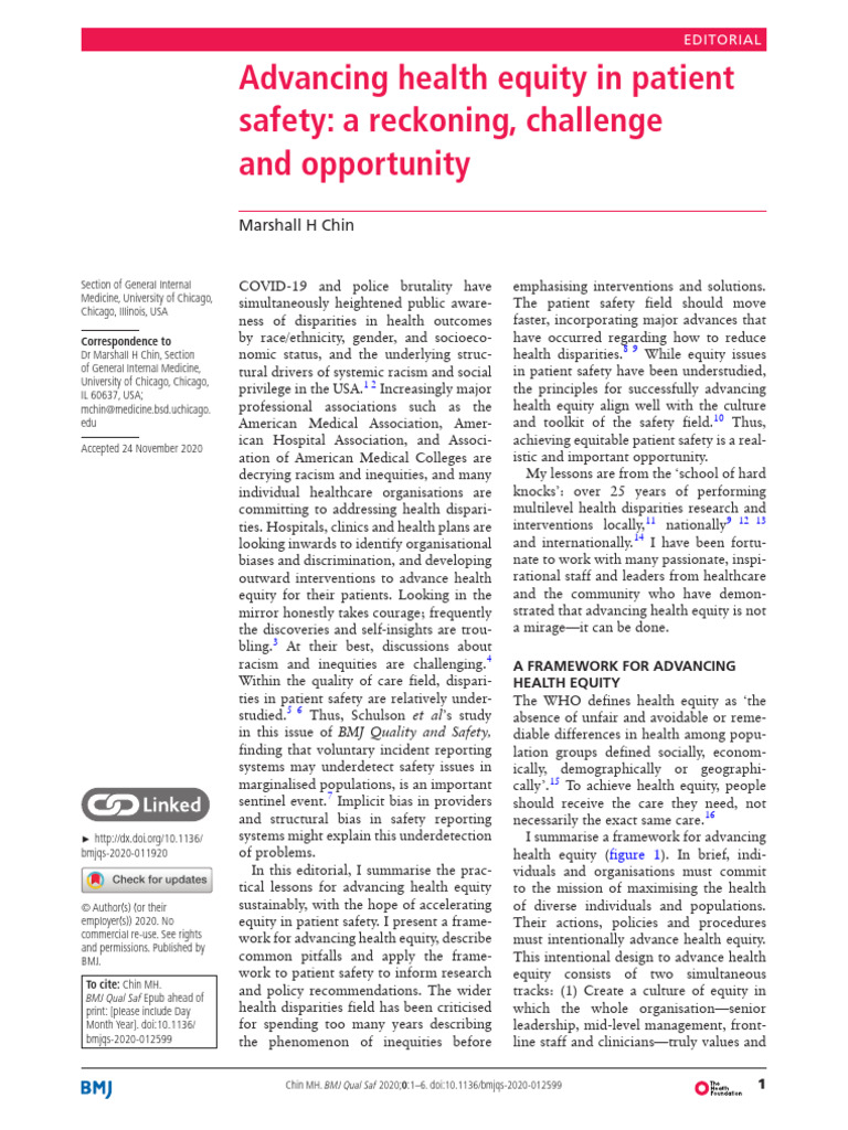Advancing Health Equity in Patient | PDF | Health Equity | Patient Safety