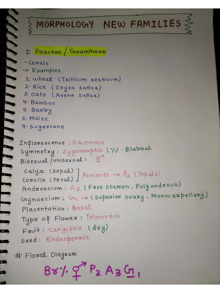 New Families - Morphology | PDF