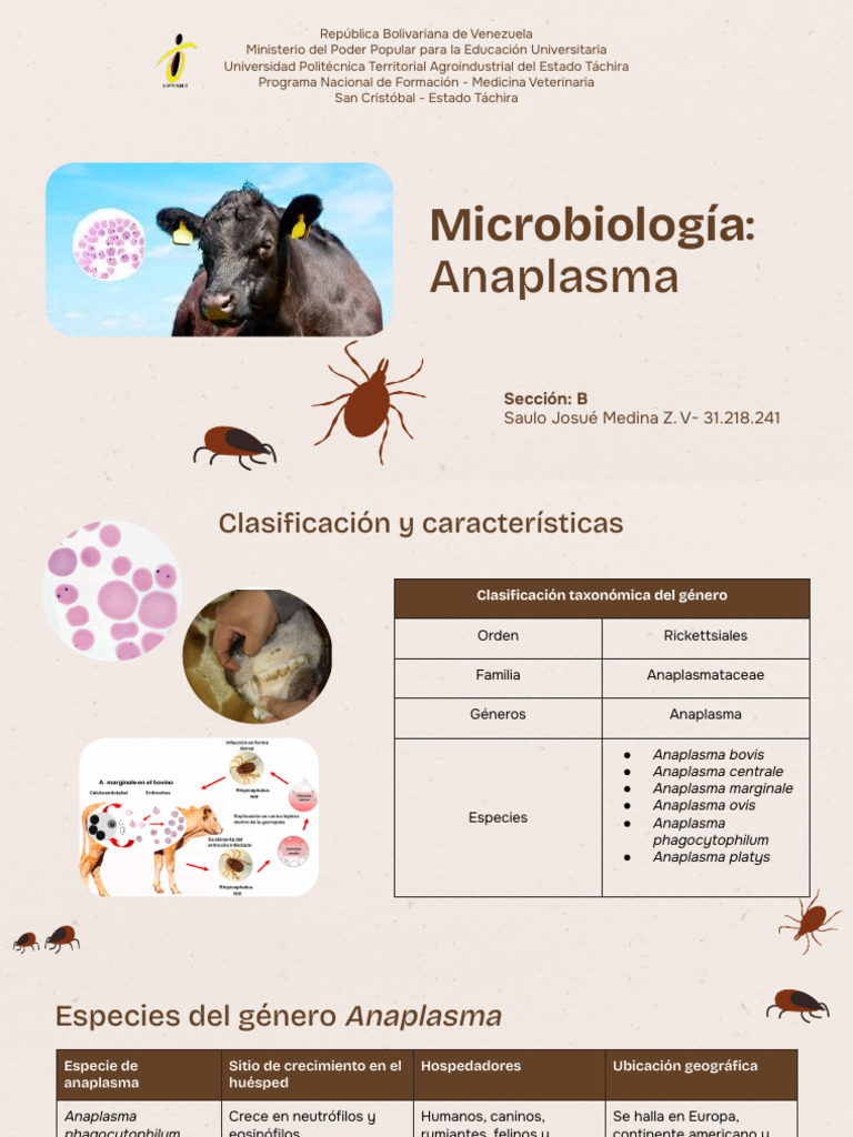 Anaplasmosis | PDF | Inmunología | Especialidades Medicas