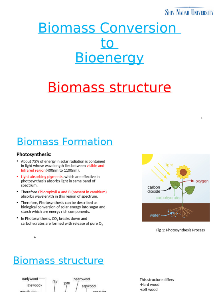 Biomass Structure | PDF | Carbohydrates | Cellulose