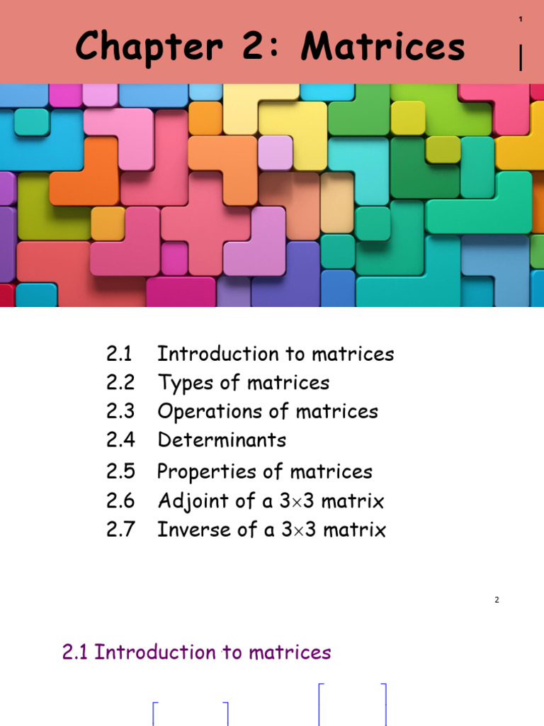 Chapter 2 Matrices Jan 2024 | PDF | Matrix (Mathematics) | Mathematical ...