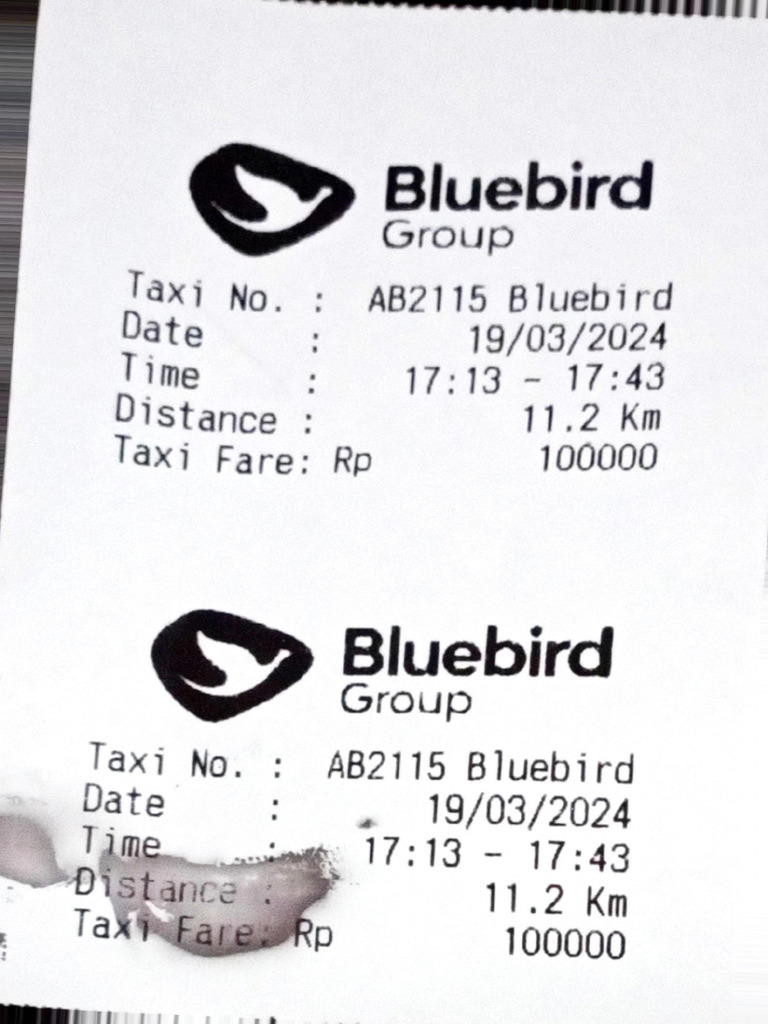 2024 - 03 - 19 Bluebird | PDF