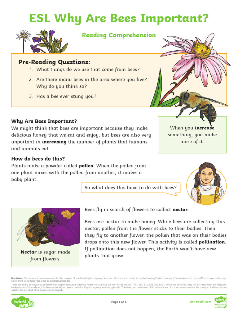 T 1728923178 Esl Why Are Bees Important Reading Comprehension Teens A2 ...