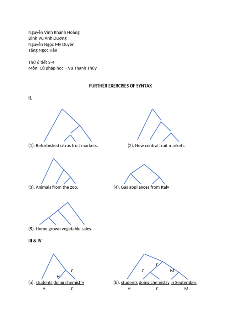 Further Exercises of Syntax | PDF