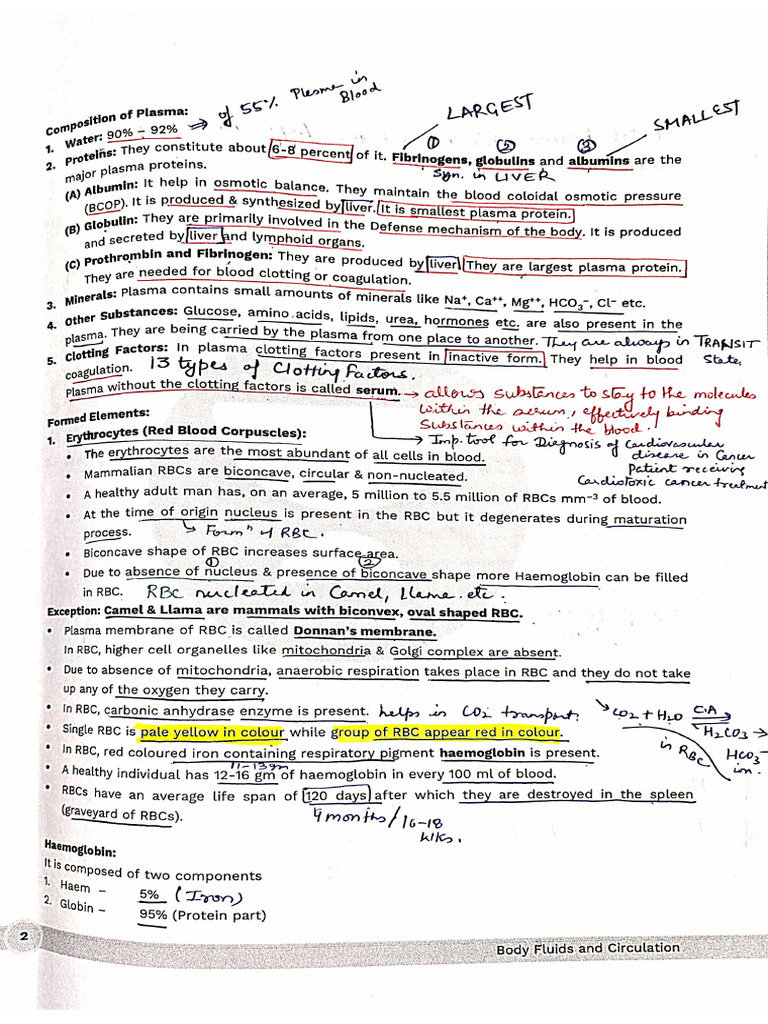 Body Fluid and Circulation Notes | PDF