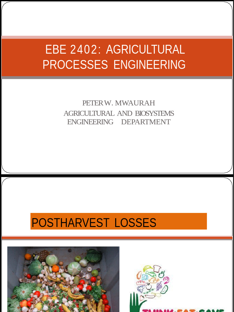 Understanding Postharvest Losses in Agriculture | PDF | Foods | Seed