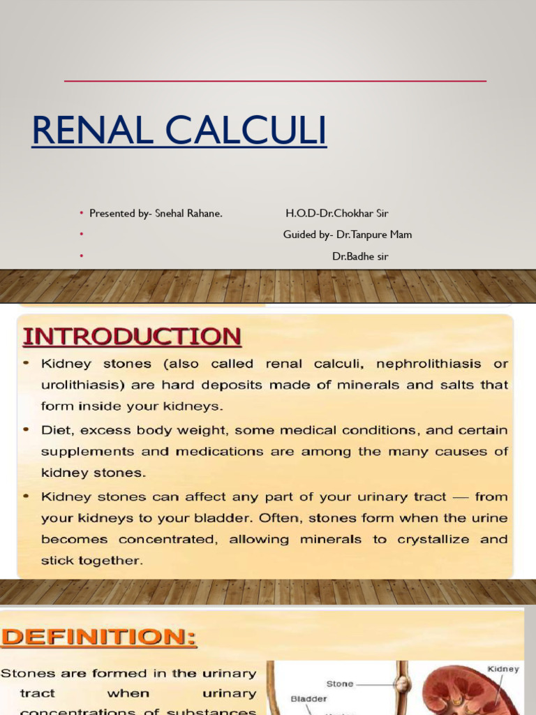 36.snehal Rahane | PDF
