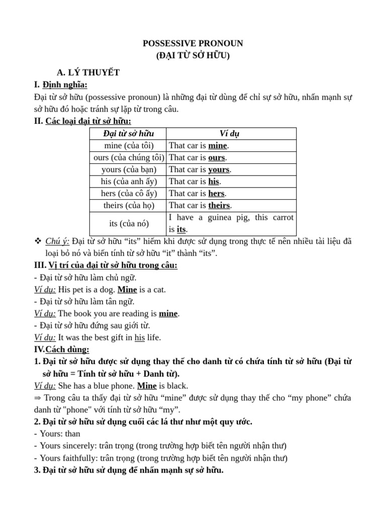 Possessive Pronoun | PDF