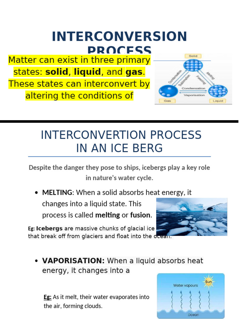 Interconversion Process | PDF