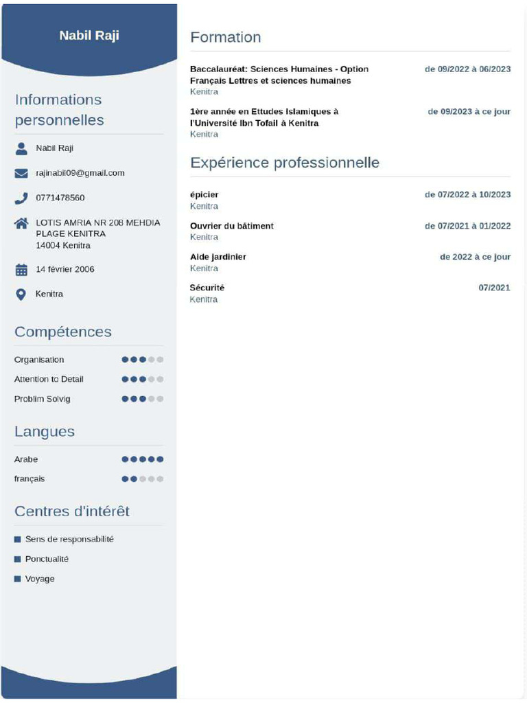 CV Raji Nabil | PDF
