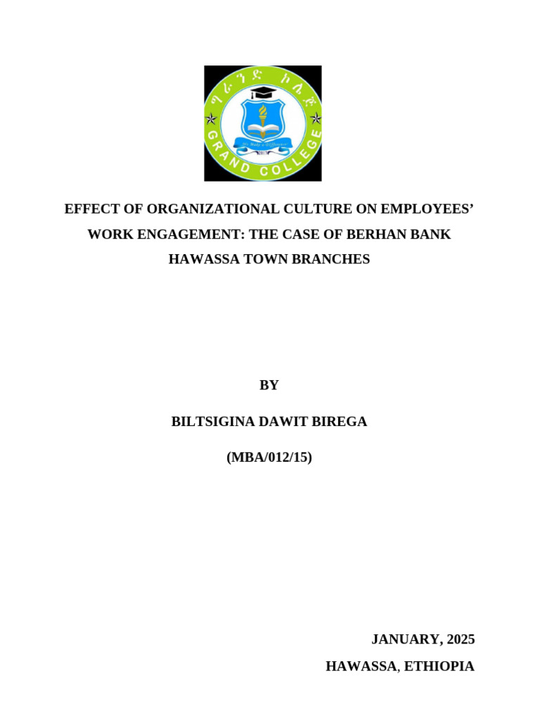 Biltsigina Dawit | PDF | Statistics | Organizational Culture