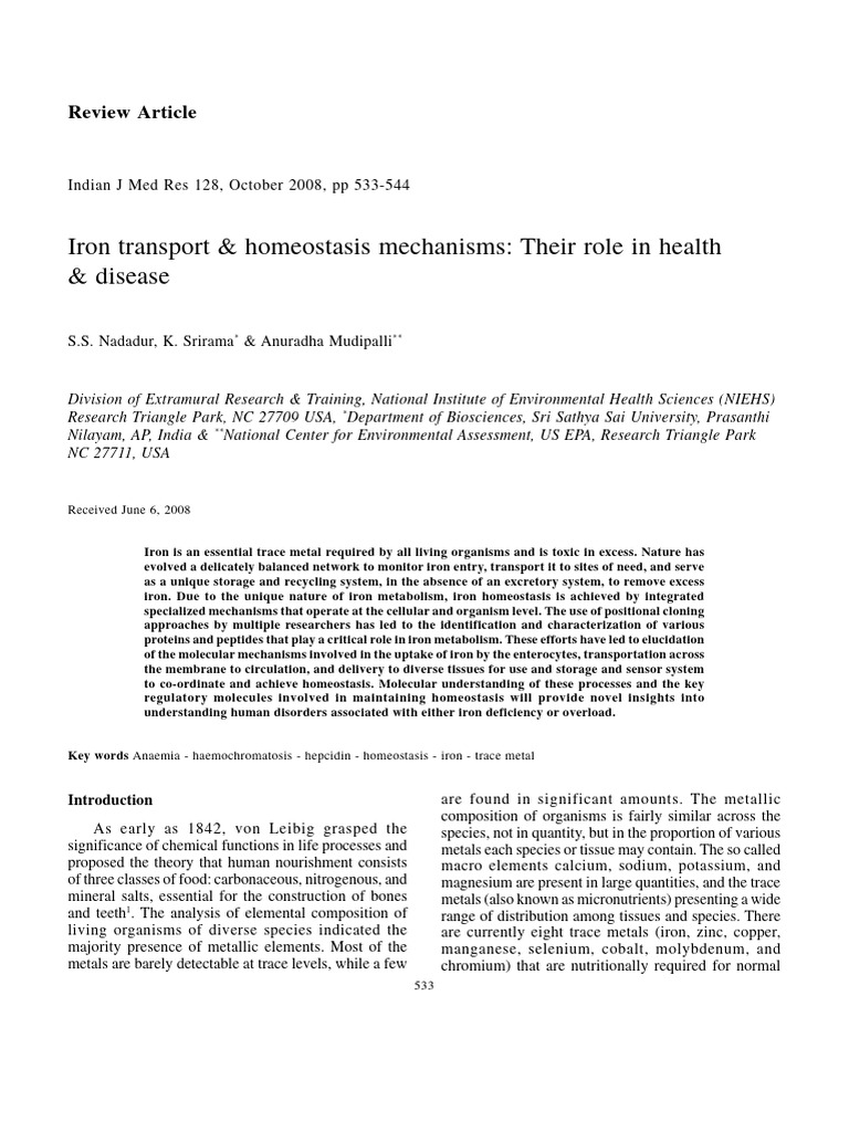 Iron Transport Homeostasis Mechanisms Their.14 | PDF | Chemical ...