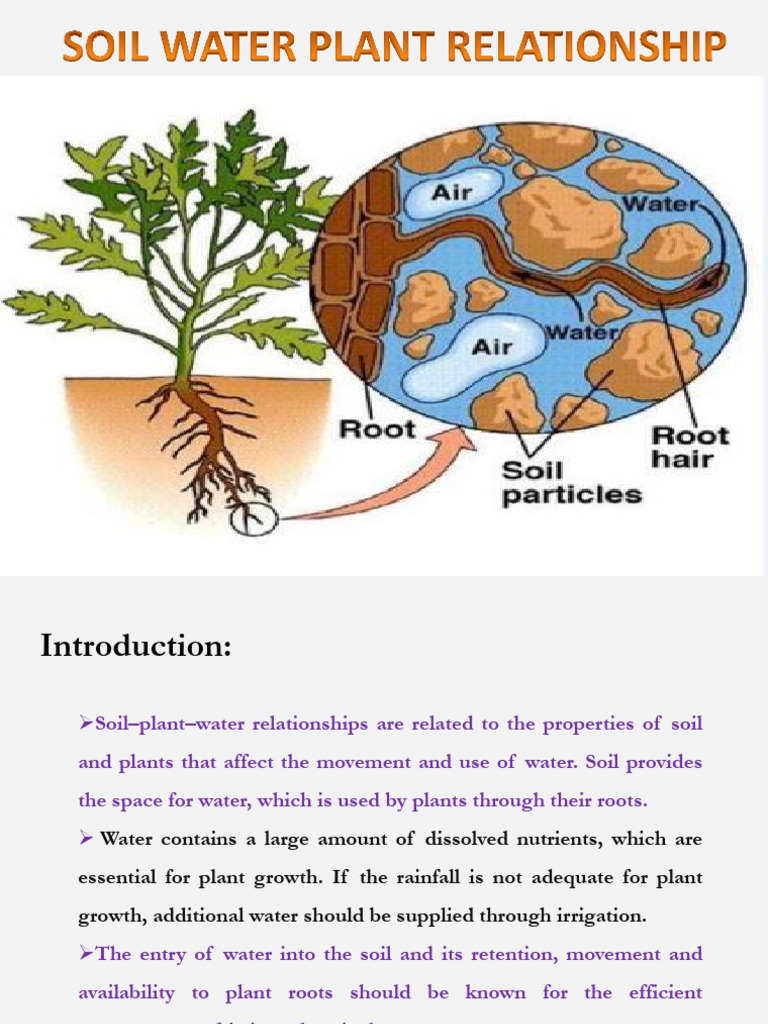 Soil Water Plant Relationship | PDF | Porosity | Soil