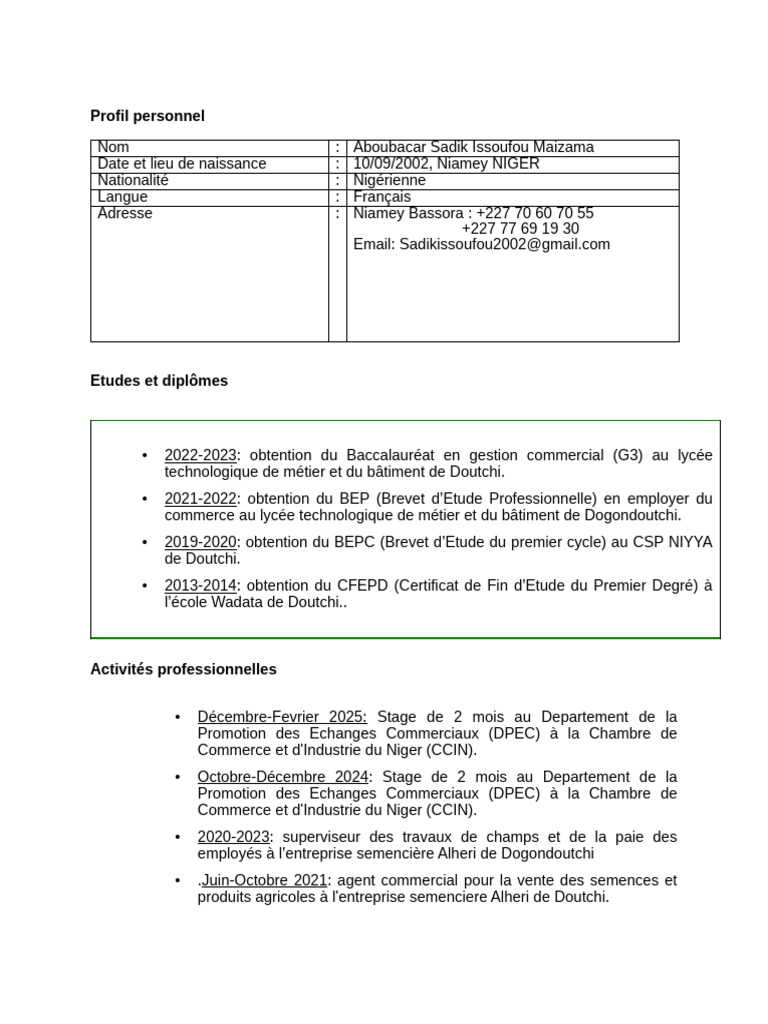 Profil d'Aboubacar Sadik Issoufou | PDF
