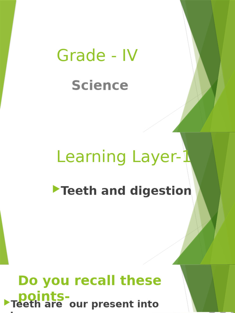 Milk and Permanent Teeth Explained | PDF