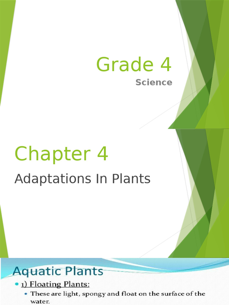 Characteristics of Aquatic Plants | PDF