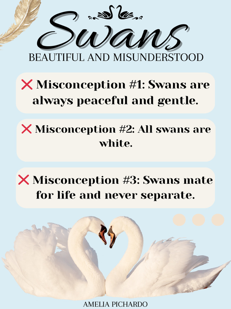 Swan | PDF