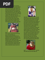 Sinhala Wal Katha | PDF