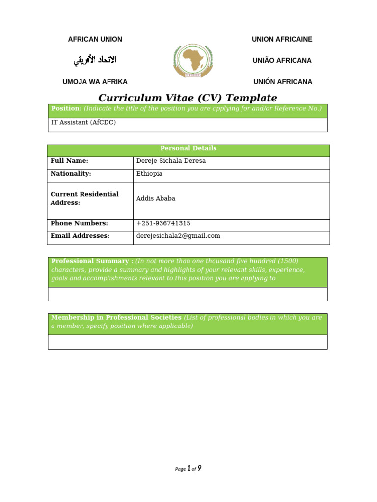 African Union CV Template for IT Role | PDF | African Union