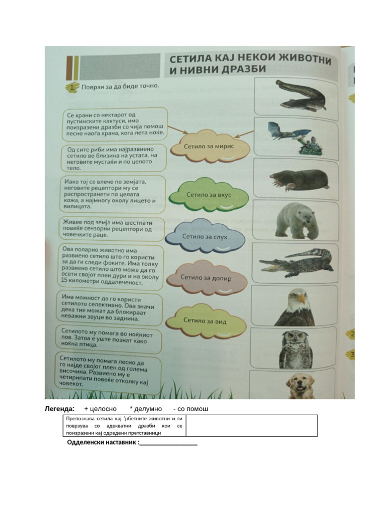 Setila | PDF