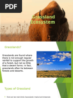 Famous Grasslands in The World: # List of All Important Grassland ...