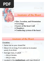 Human Heart Anatomy Overview | PDF | Heart | Heart Valve