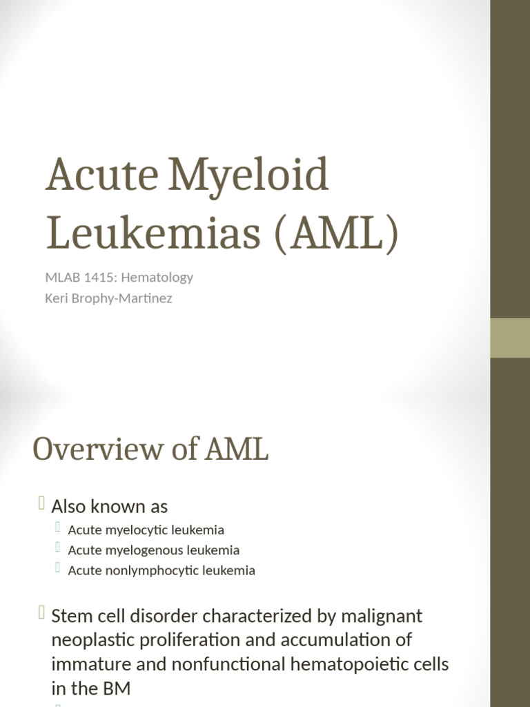Hem Notes AML Acute Myeloid Leukemias-Lect 25 | PDF | Leukemia | Hematology