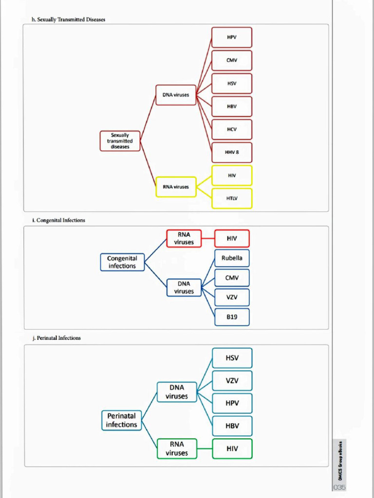 Virus Must Notes | PDF