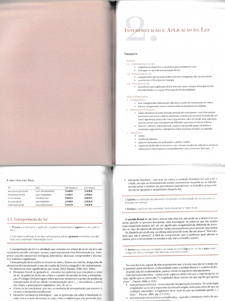19.interpretação e Aplicação Da Lei | PDF