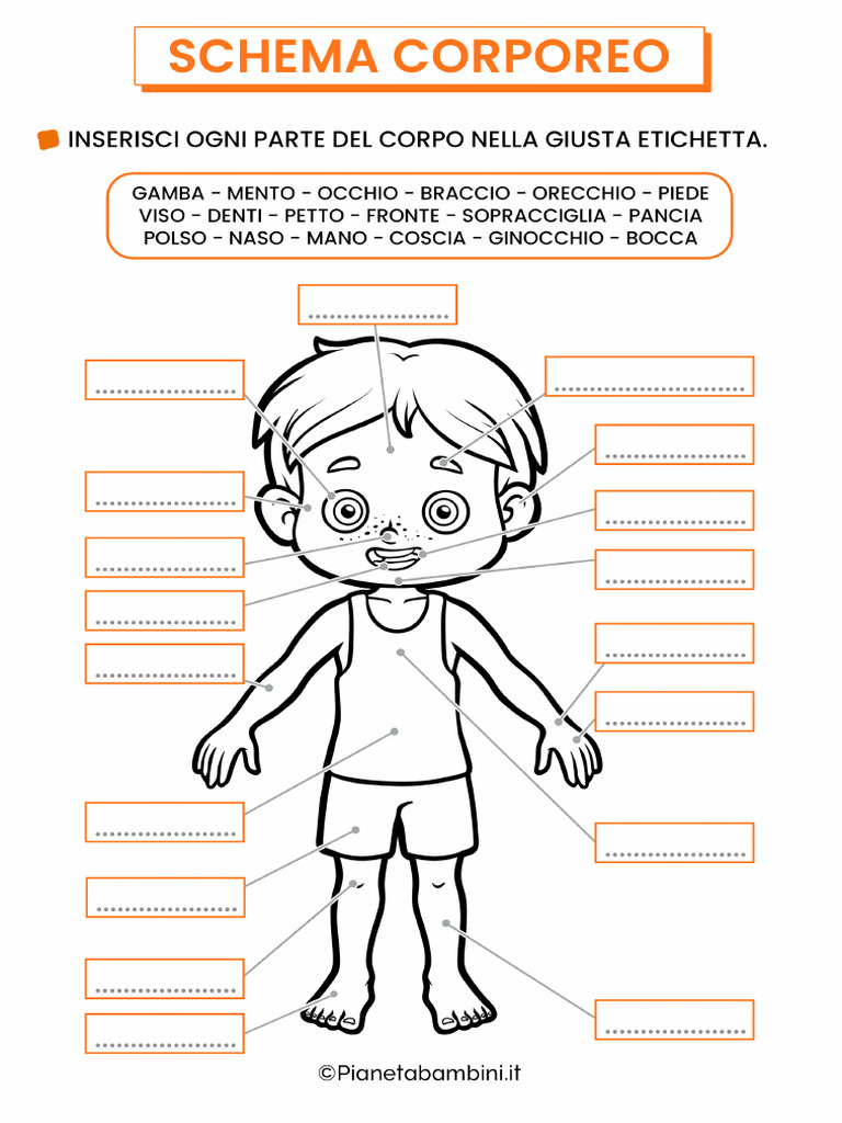 Schede Didattiche Schema Corporeo | PDF