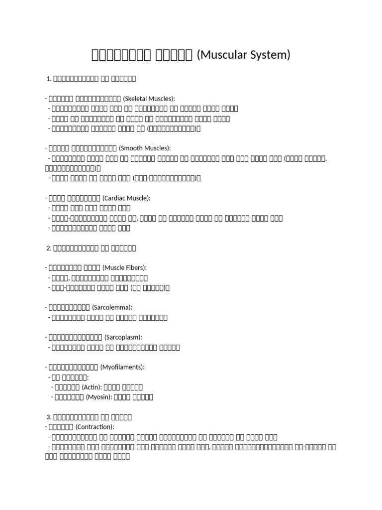 Muscular System | PDF