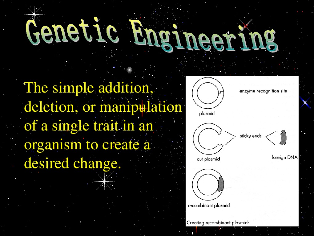 Genetic Engineering Overview and Applications | PDF | Genetic ...