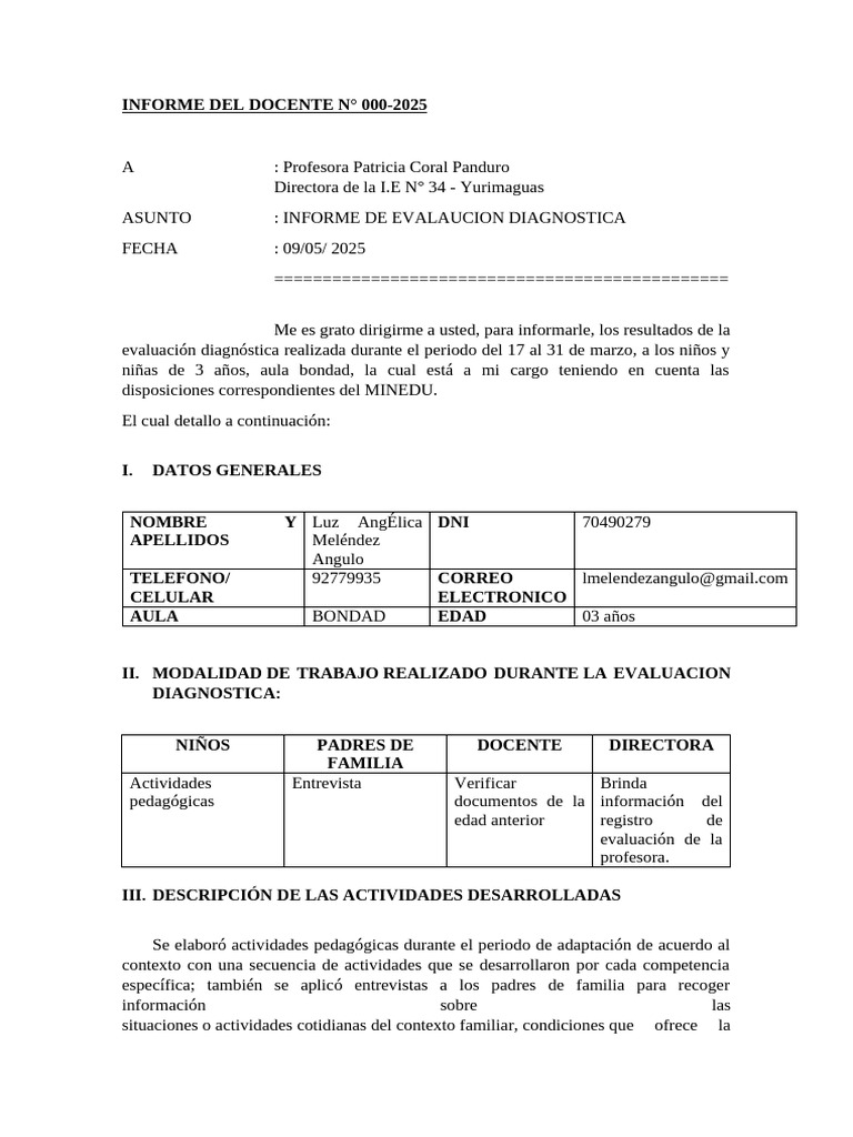 Informe Evaluacion Diagnostica 3 Años 2025 | PDF | Evaluación | Aprendizaje