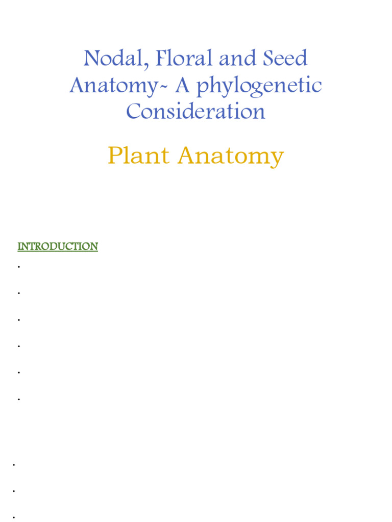 Nodal, Floral and Seed Anatomy - A Phylogenetic | PDF | Seed | Leaf