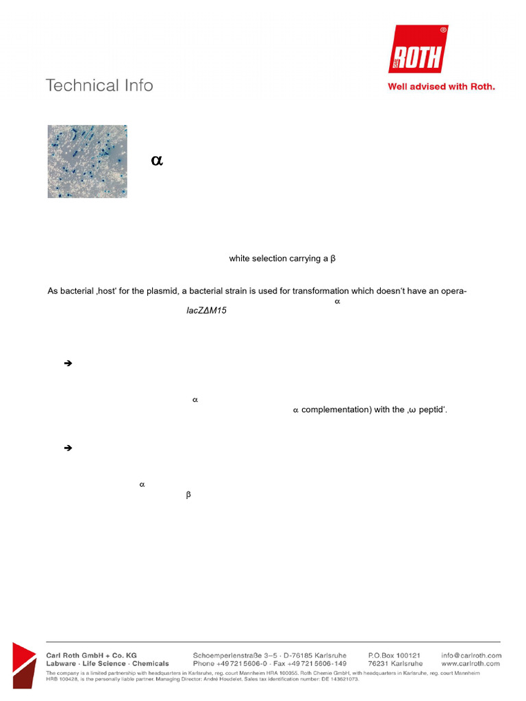 Info Brochure BlueWhiteSelection EN | PDF | Plasmid | Vector (Molecular ...