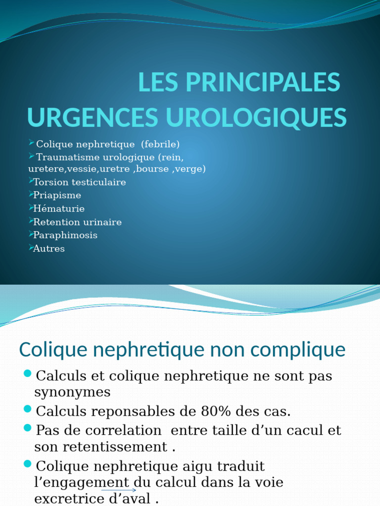 Les Principales Urgences Urologiques | PDF | Appareil urinaire | Rein