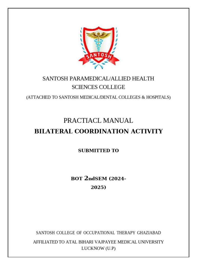 Project 2024 | PDF