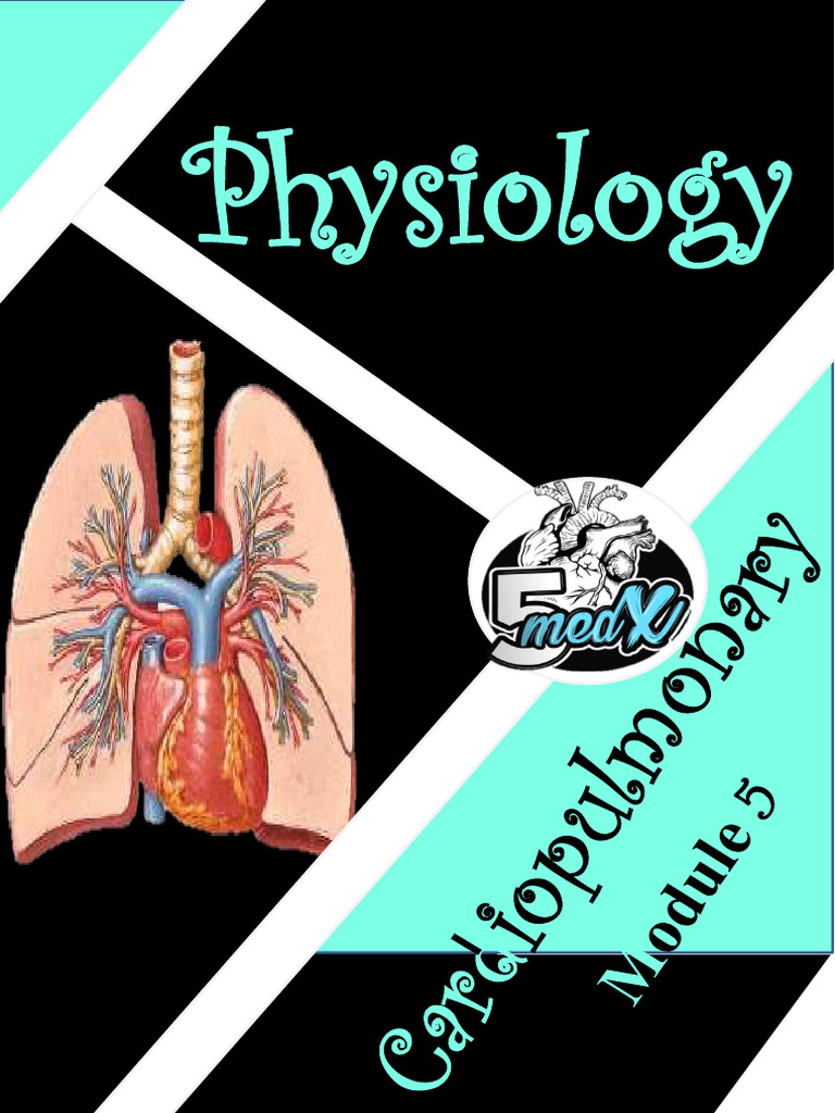 Physio Med X5 | PDF