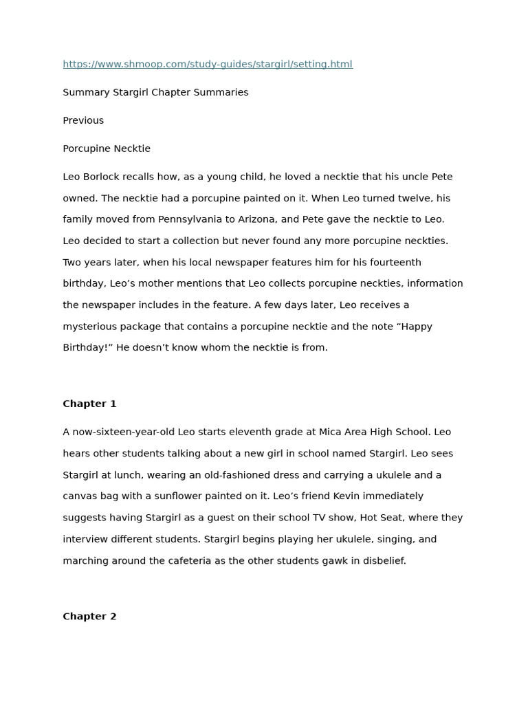 Stargirl Chapter Summaries Overview | PDF