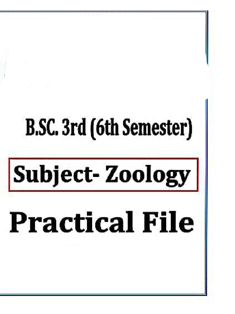 BSC 6th Sem Zoology Practical File | PDF