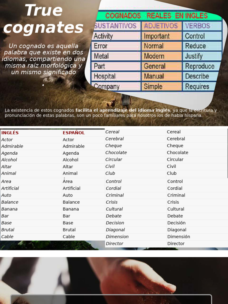 True Cognates Inglés y Español | PDF | Lingüística