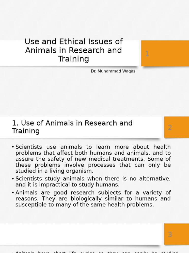 Use and Ethical Issues of Animals in Research & Training | PDF | Animal ...