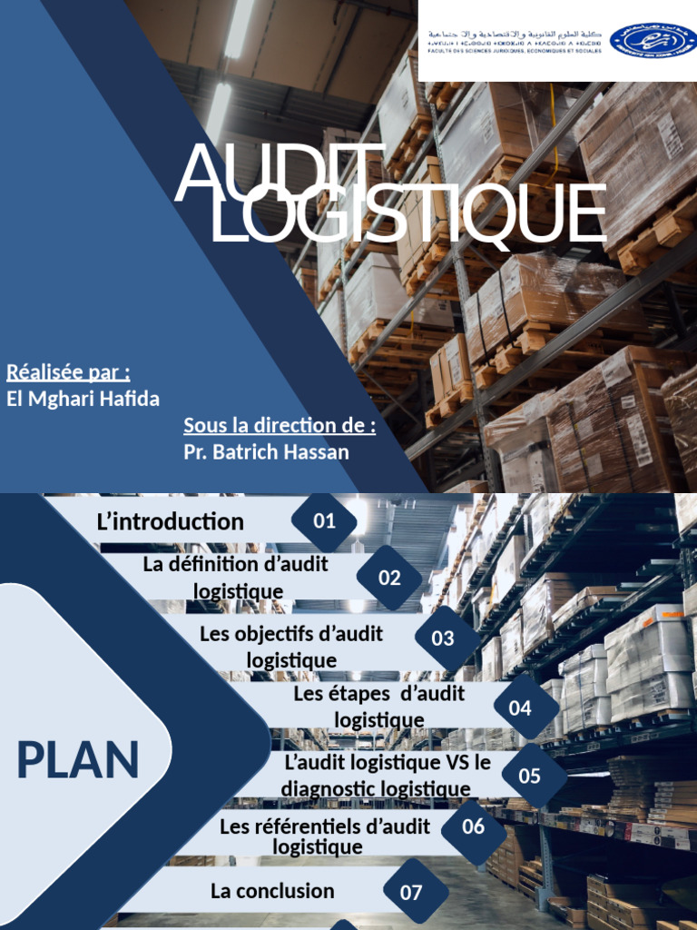 Audit Logistique | PDF | Logistique | Audit
