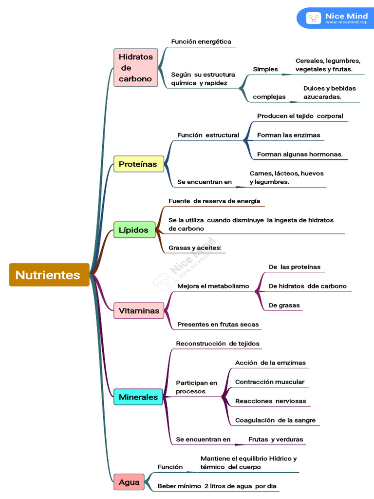 Nutrientes PDF | PDF