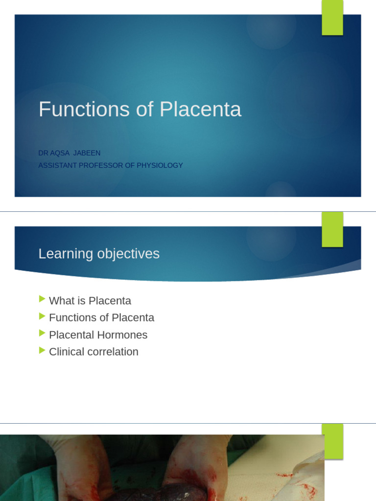 Placenta Functions | PDF | Placenta | Fetus