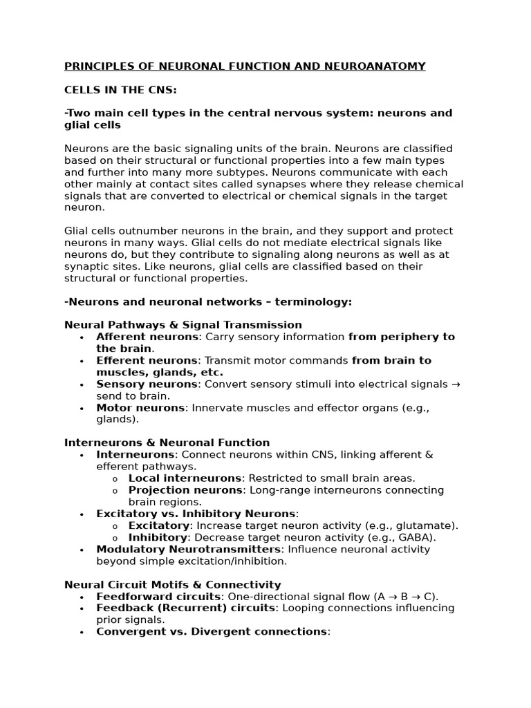 Principles of Neuronal Function and Neuroanatomy | PDF | Chemical ...