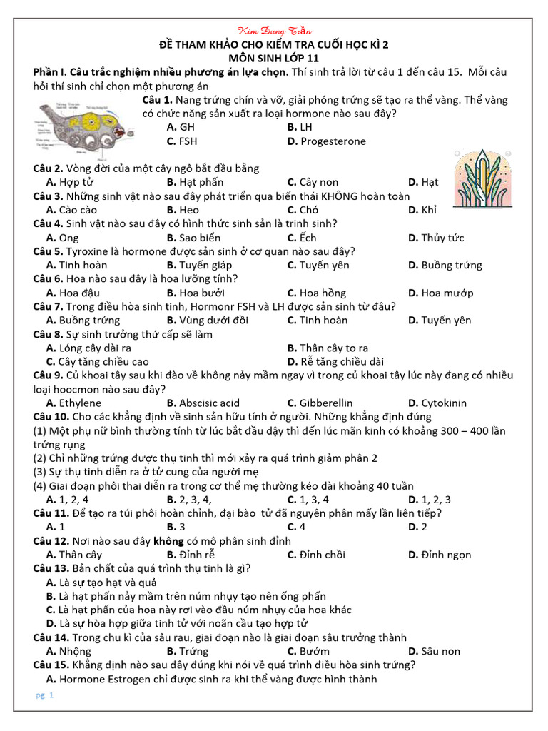 CK2-ĐỀ 3-HS | PDF